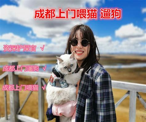 我是这样成为成都上门喂猫铲屎官的 知乎