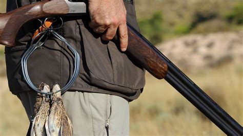 La licencia de caza que permite cazar en diez autonomías