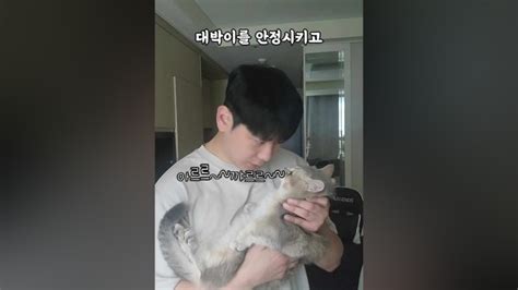 대박이에게 배우는 육아수업 네이버 Tv