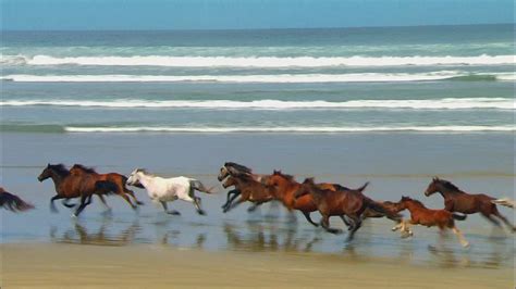 Video Sahani Gautam On Linkedin Nice Moment