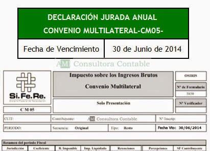 Declaración Jurada Ingresos Brutos Convenio Multilateral Ami