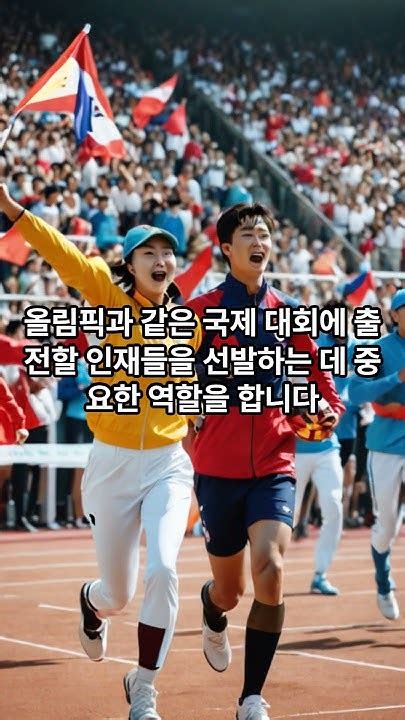 전국체전 Shorts 육상 수영 축구 농구 배구 야구 태권도 유도 Youtube