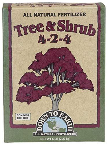 11 Best Fertilizer For Trees Reviews Guide