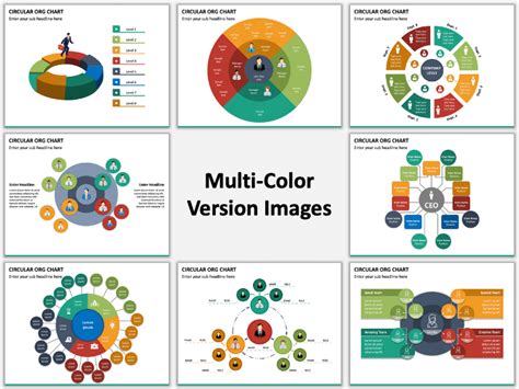 Circular ORG Chart For PowerPoint And Google Slides PPT Slides