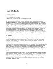 Understanding DNS A Closer Look At The Client Side Lab Course Hero