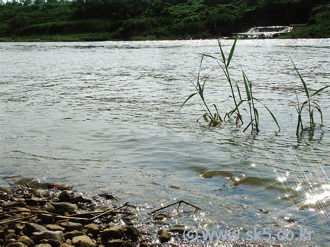 강가 풍경 이미지 사용조건이 까다롭지 않은 요리사진 100만컷