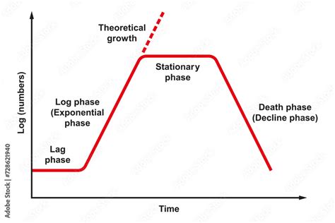 Bacterial Growth Curve Graph Showing Numbers Of Bacteria Versus Time Ideal Kinetic Curve Of A