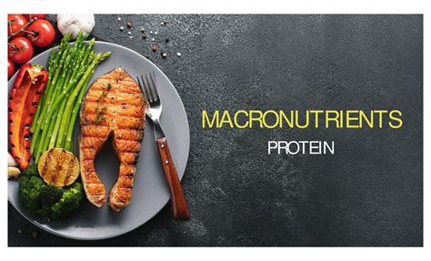 6 Macronutrient Protein Macronutrients Protein Protein T Aken From T