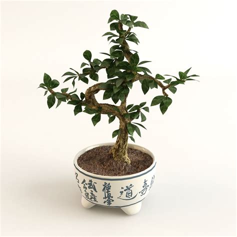 Bonsai 3d Model 19 Max Fbx Obj Free3d