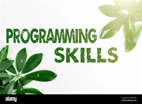 Sign Displaying Programming Skills Business Showcase Skills Vital To Write A Program So