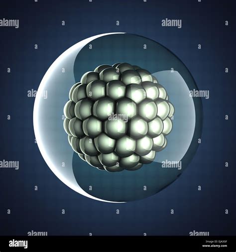 A Micro Cell Scientific Illustration Stock Photo Alamy