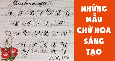 Ch G S Ng T O Nh T M U K T C Bi T Ch G