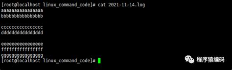 linux下cat命令详解及c c 代码实现 cat指令 csdn博客