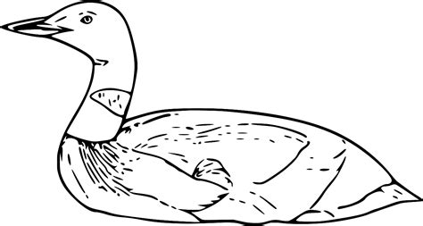 Svg 수영 물 헤엄 치는 사람 해야 할 것 무료 Svg 이미지 및 아이콘 Svg Silh