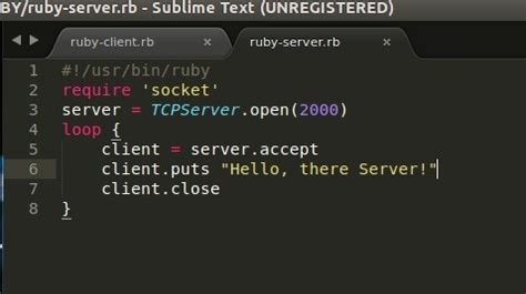 How To Make A Client Server Connection In Ruby Null Byte WonderHowTo