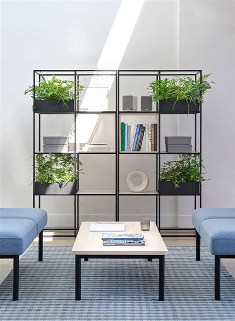 The Senator Group Moxi