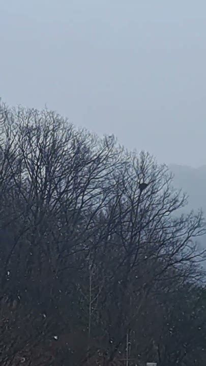 반짝반짝 ~ 눈내리는 풍경 Youtube