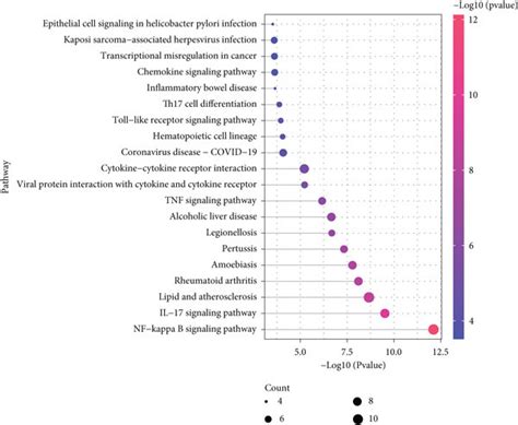 Age Related Pi Gene Regulated Functions A Biological Processes