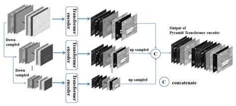 the pyramid transformer encoder download scientific diagram