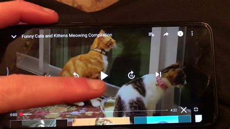 How Youtube Hide Controls When Paused YouTube