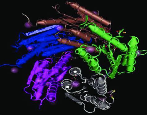 lumazine synthase from mycobacterium tuberculosis pdb 2c92 download
