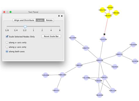 12 Navigation And Layout — Cytoscape User Manual 3 4 0 Documentation