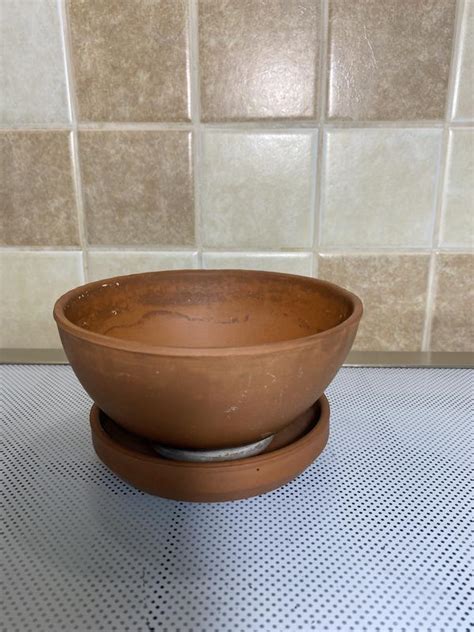 Вазон плошка для кактусов — ціна 90 грн у каталозі Кашпо Купити товари для дому та побуту за