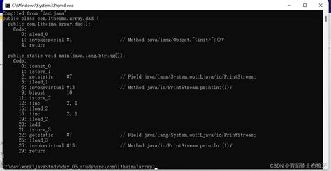 关于“ i”自增自减在c和java中区别的研究 csdn博客