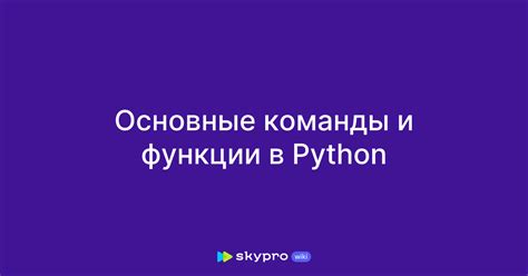 Основные команды и функции в python
