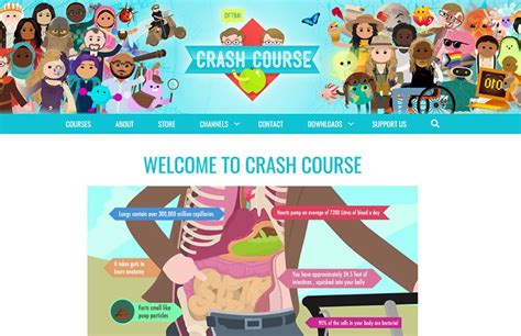 Top 8 Educational Video Platforms For Teachers