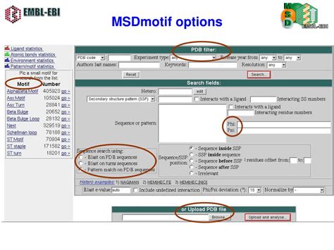 Ppt Extracting And Exploiting Structural Patterns In Proteins Especially Relating To Function