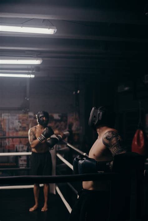 강한 광선 권투 권투 선수 근육질의 발차기 보호 보호 복 스파링 스포츠 싸우는 싸움 운동 장갑 전투 차는 체육관 파이터 펀치 펀칭 햇빛