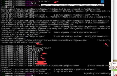 elk 之logstach管道用法 logstash stdin 管道 csdn博客
