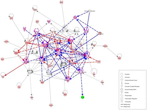 Network Analysis Using The Ingenuity Pathway Analysis Ipa Software