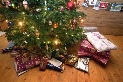 Types Of Christmas Trees Chart Ponasa