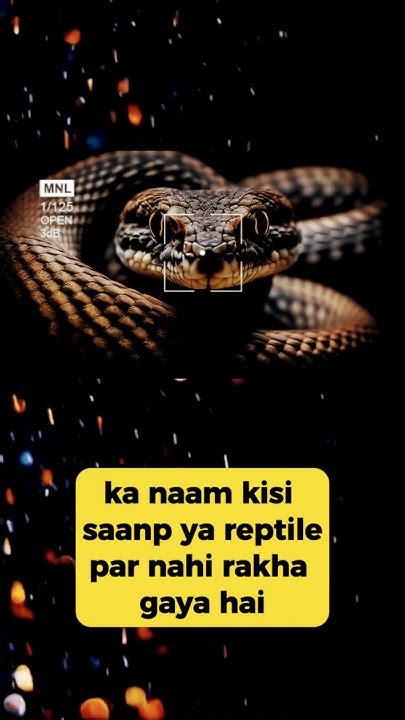 🔥 Why Python The Surprising Story Behind Its Name Python Coding Programming Youtube