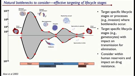 Improving Estimates Of Antimalarial Drug Resistance Mesa