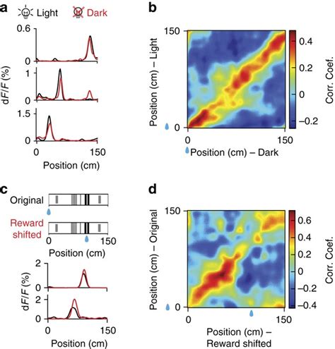 Sparse Orthogonal Population Representation Of Spatial Context In The