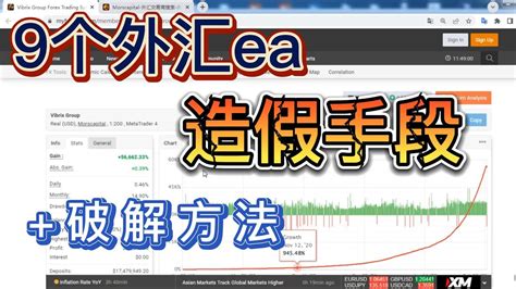 9个外汇ea造假的手段和破解的方法 youtube