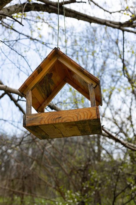 Wooden Bird Feeder On A Tree Branch Stock Image Image Of Nature Bird 276673995