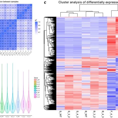 Primary Analysis Of Transcriptome Datas A Heat Map Of Pearson Download Scientific Diagram
