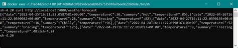 Why Isnt My Aspnet Core App In Docker Working