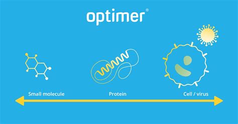 👩‍🔬using Multiple Discovery Methods In Binder Development Deliver