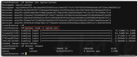 Docker安装镜像，并运行成为容器docker根据镜像创建容器 Csdn博客