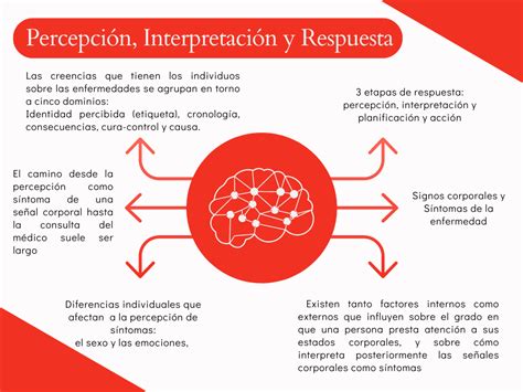 Percepción Interpretación Y Respuesta A Los Síntomas Psicologia De
