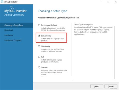 Mysql安装及配置mysql中安装 Config Type应该选什么 Csdn博客