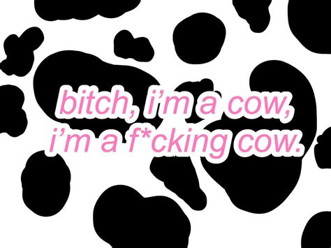 Sticker Cow Aesthetic Cow Aesthetic Stickers