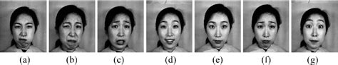 Figure 1 From Face And Facial Expression Recognition Using Local Directional Feature Structure
