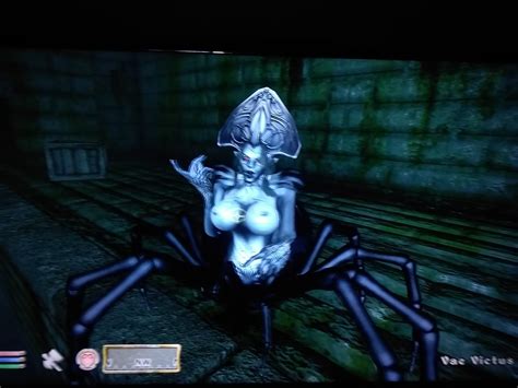 Bbb Idea Apply It To The Nude Spider Daedra Mod Request And Find Oblivion Adult And Sex Mods