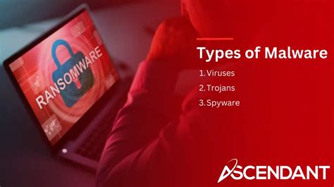Ransomware Vs Malware The Differences Ascendant